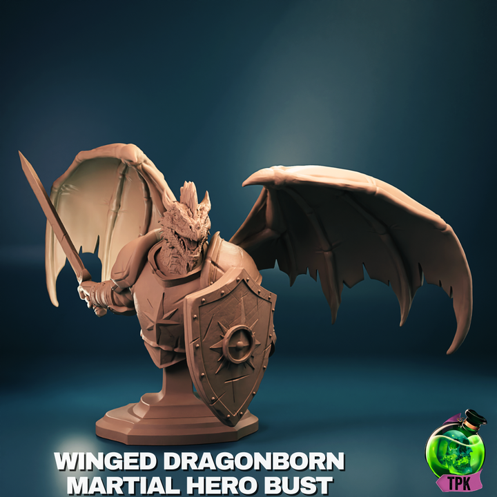 Winged Dragonborn Male Hero Miniature and Bust – Open Gaming Store