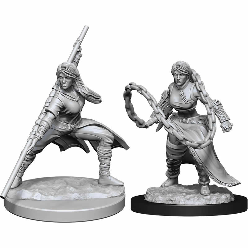 WZK90225 Human Monk Female Nozurs Marvelous Miniatures D&D Unpainted M ...